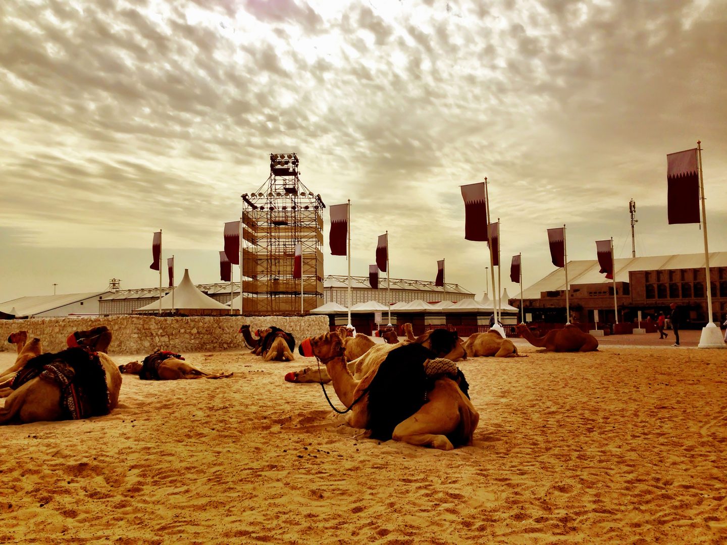 fischerAppelt Qatar | Managing the Qatar National Day Celebrations